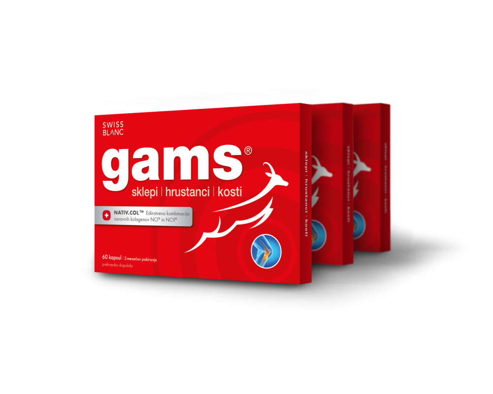 About product – Gams SI